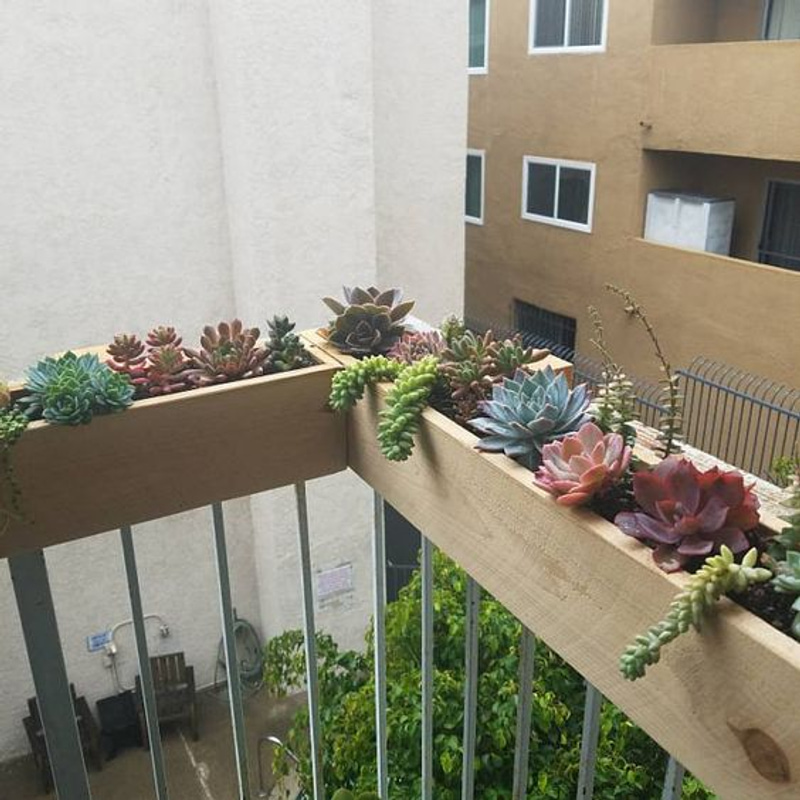 Beautify your balcony with potted flowers on the railings - 32 original ...