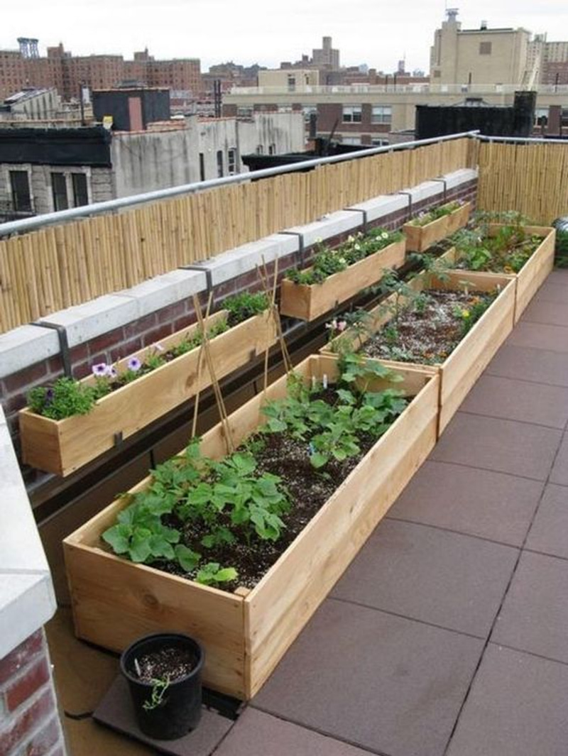 Beautify your balcony with potted flowers on the railings - 32 original ...