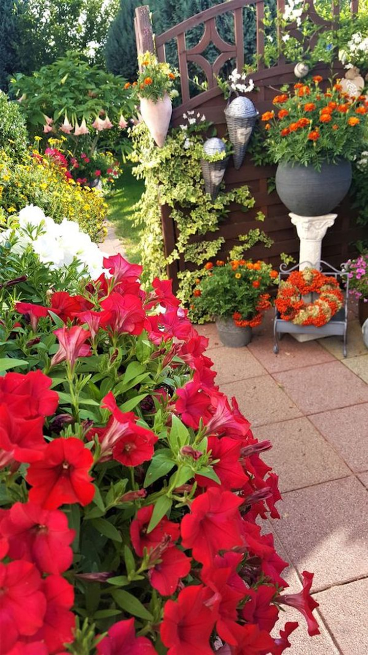 54 Amazing ideas with colorful flowers that will boost the beauty of ...