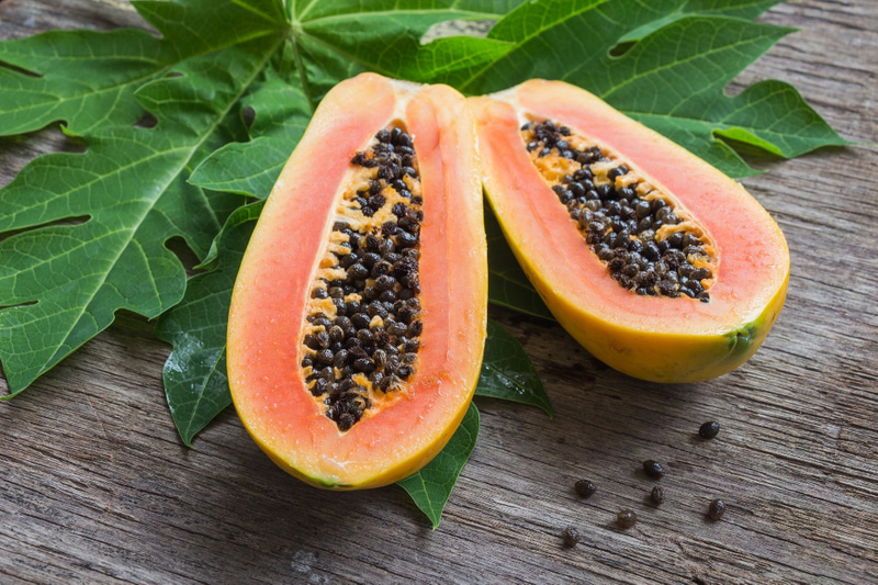 Gardening secrets: How to Grow Papaya in a Pot or your Garden | My ...