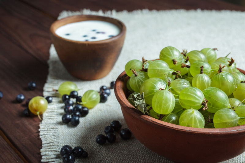 Gooseberry: how to grow this delicious fruit in your garden | My ...