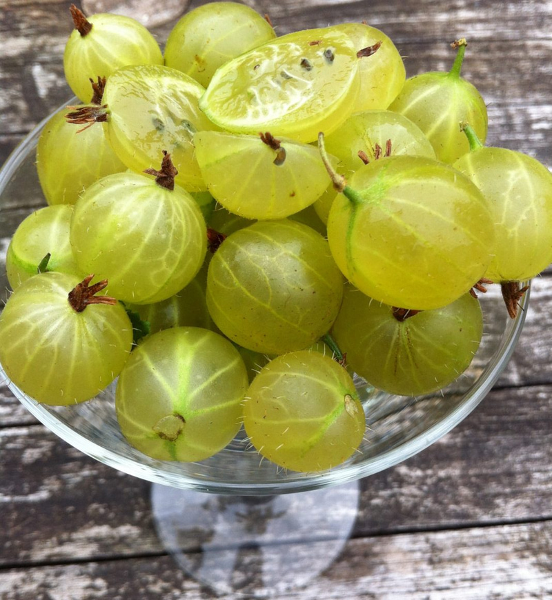 Gooseberry: how to grow this delicious fruit in your garden | My ...