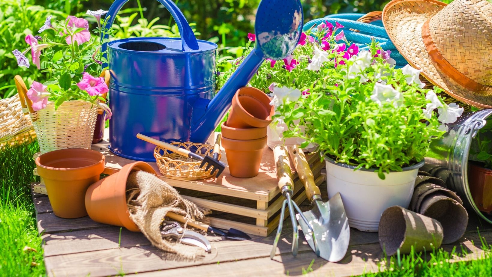 6 DIY Steps For Making Self-Watering Pots For Your Outdoor Plants | My ...