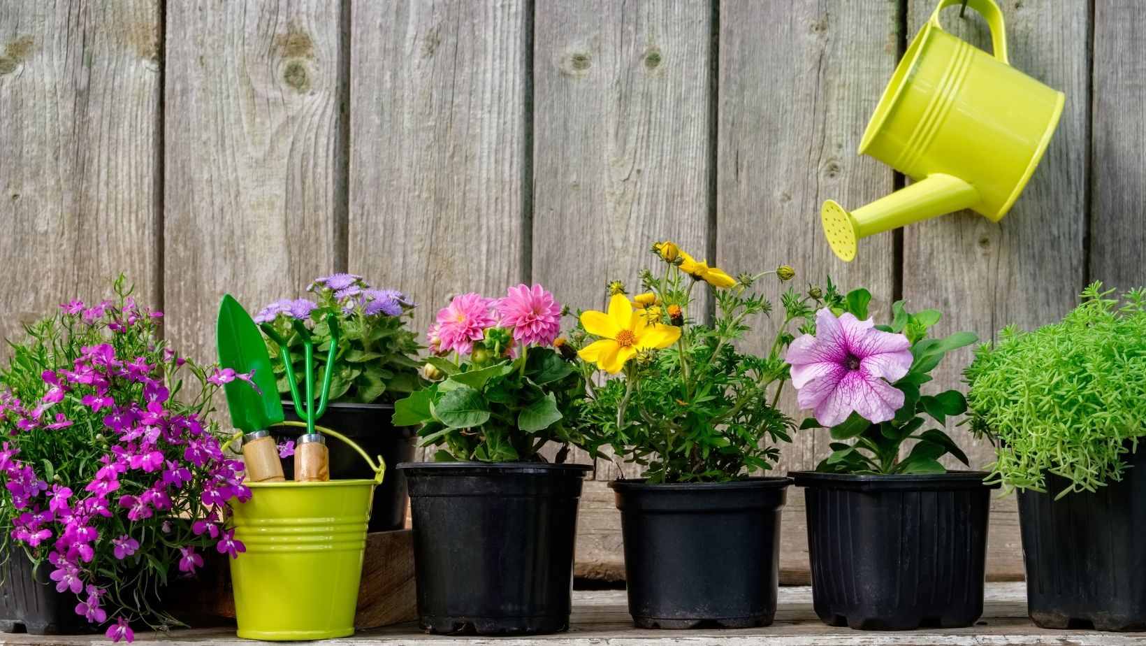 6 DIY Steps For Making Self-Watering Pots For Your Outdoor Plants | My ...
