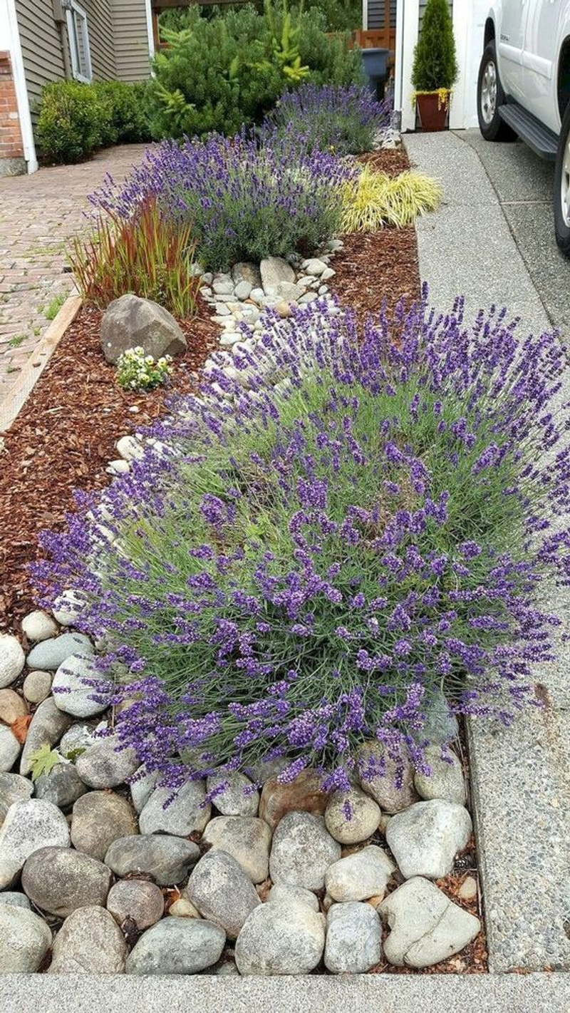 30 Attractive low-maintenance garden and patio design ideas | My ...