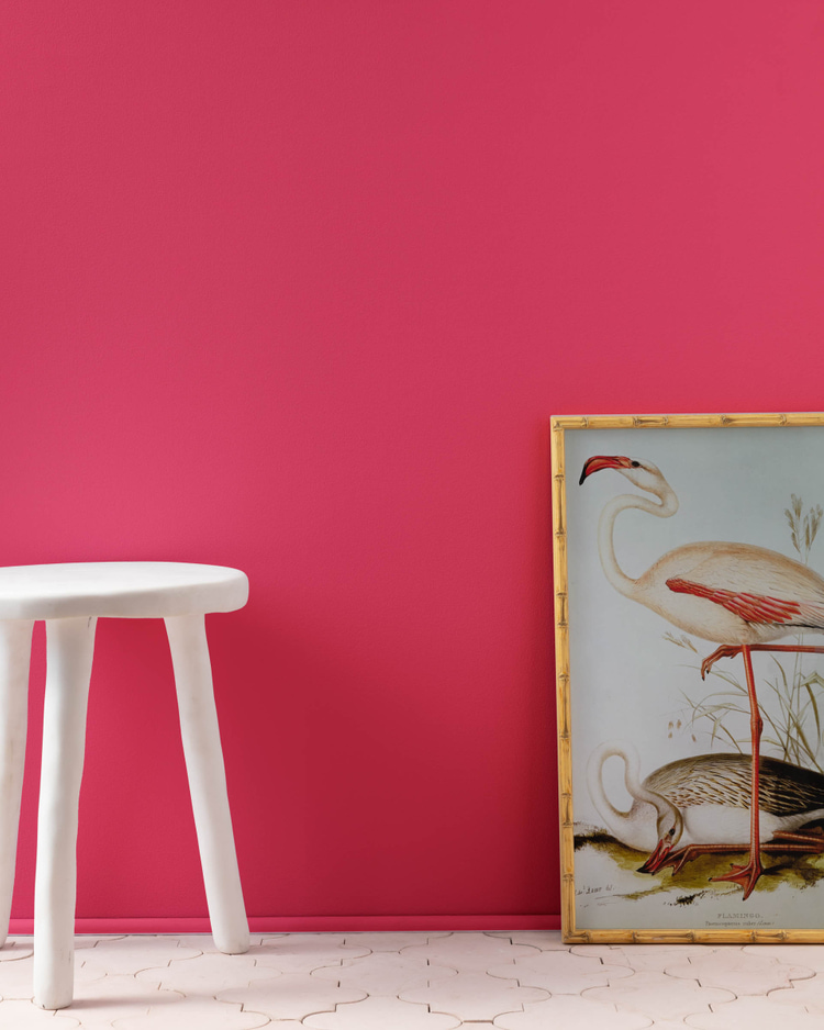 Amazing tips and ideas for integrating the raspberry color into your ...