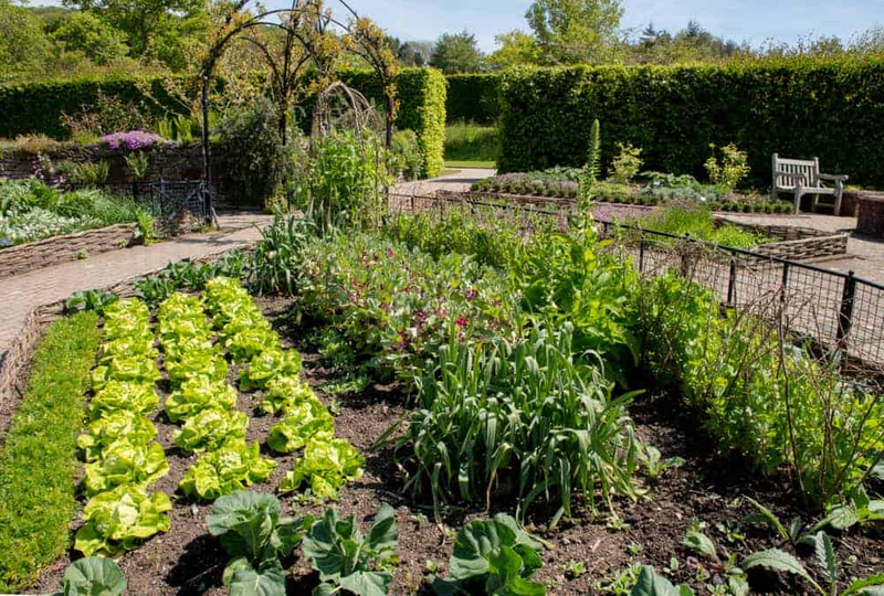 Create a permaculture garden - How to make an easy-care and productive ...