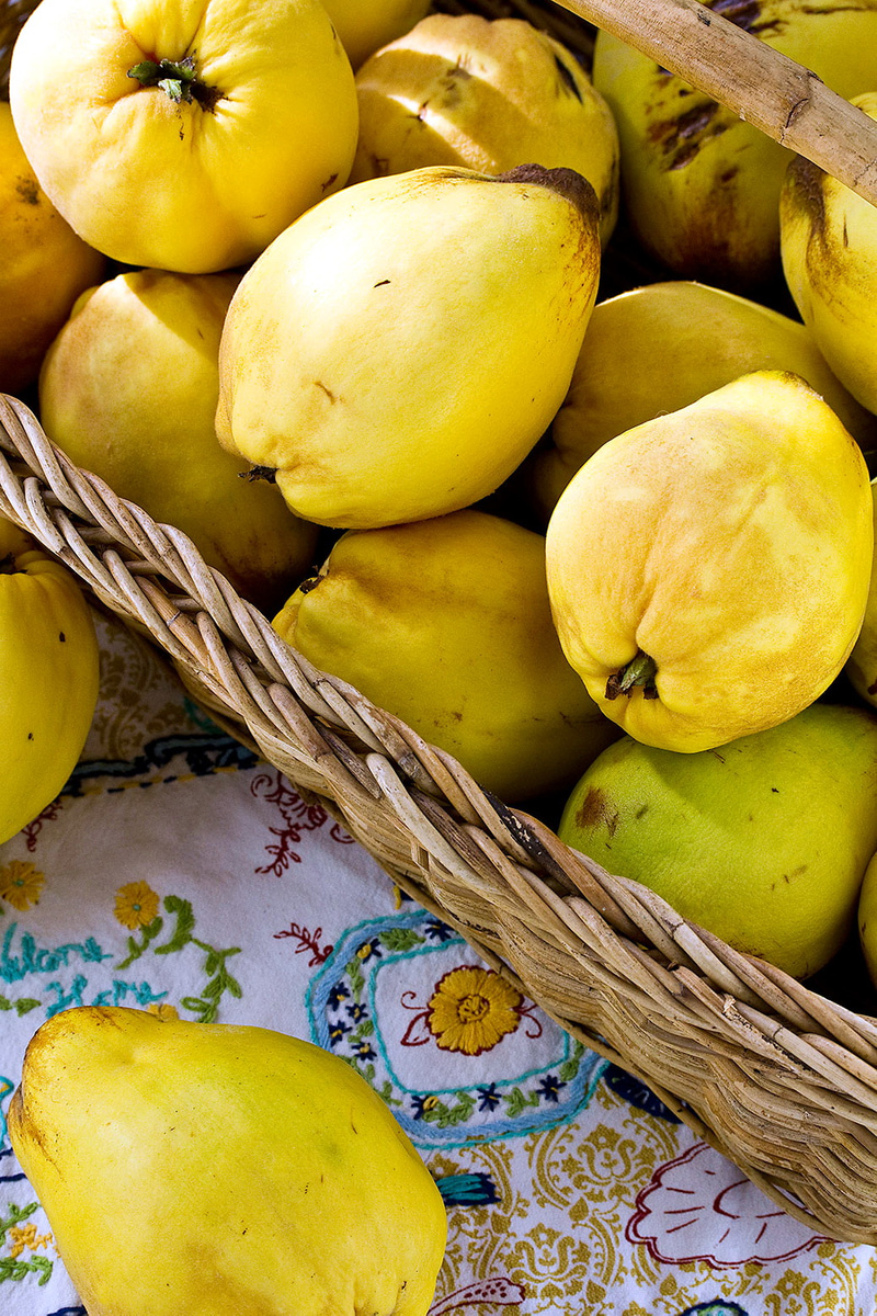How to Grow Quince, Greece's Fruit of the Gods, in your garden | My ...