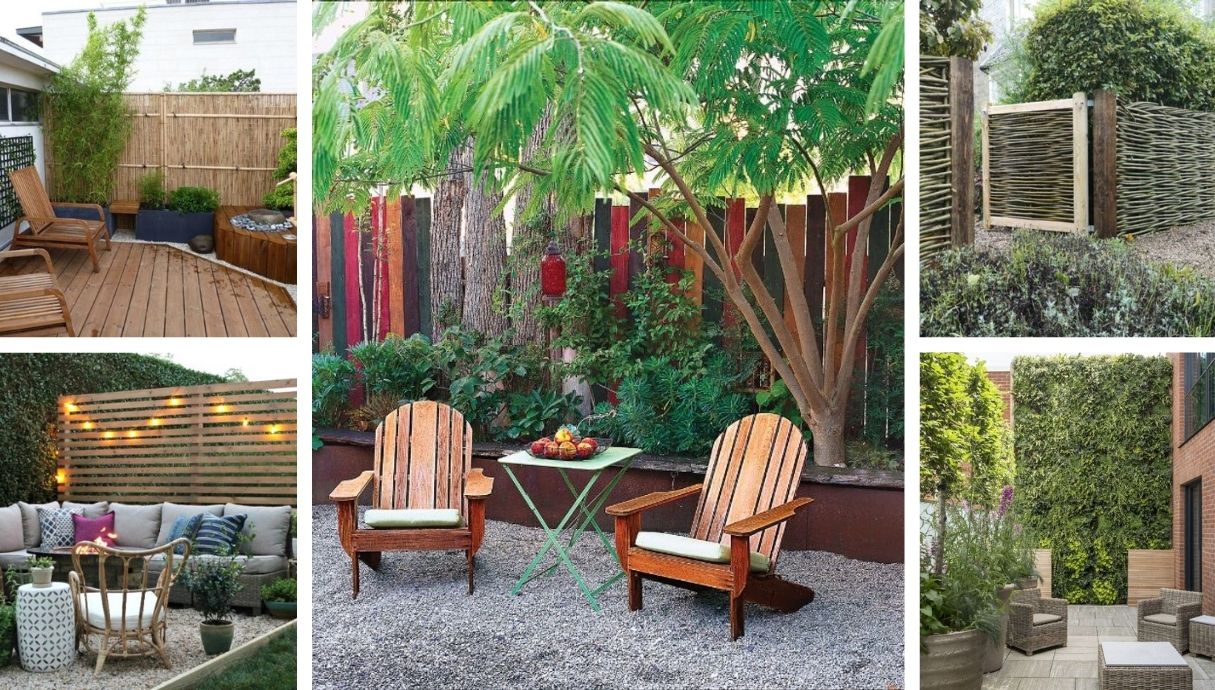 30 Amazing and easy projects to make a natural privacy screen in your ...