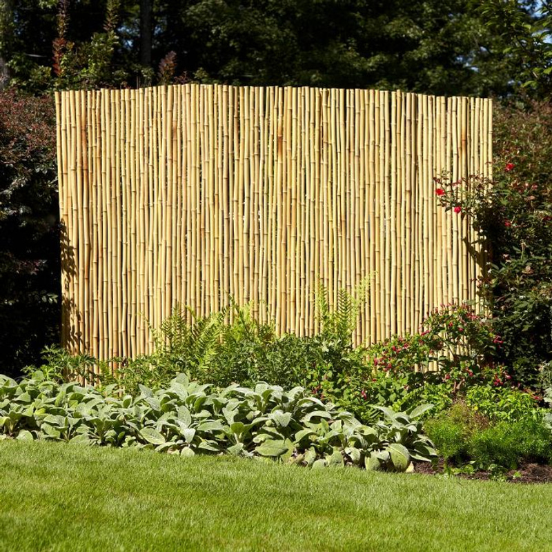 30 Amazing and easy projects to make a natural privacy screen in your ...