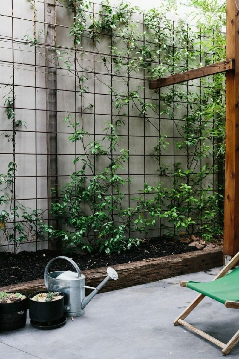 30 Amazing and easy projects to make a natural privacy screen in your ...