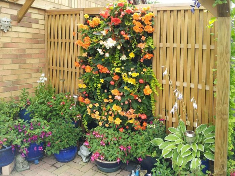 30 Amazing and easy projects to make a natural privacy screen in your ...