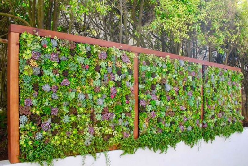 30 Amazing and easy projects to make a natural privacy screen in your ...