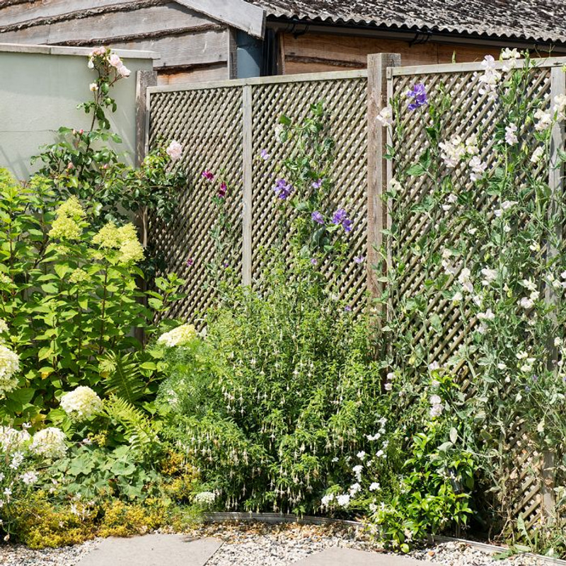 30 Amazing and easy projects to make a natural privacy screen in your ...