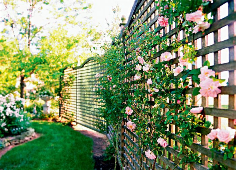 30 Amazing and easy projects to make a natural privacy screen in your ...