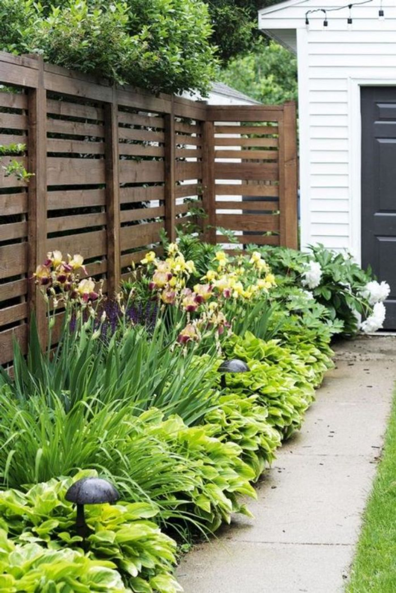 30 Amazing and easy projects to make a natural privacy screen in your ...