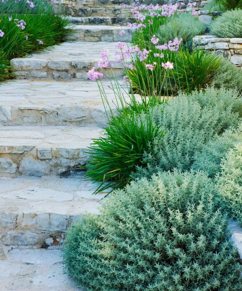 Greek garden and yard: 42 wonderful inspirational ideas to create a ...