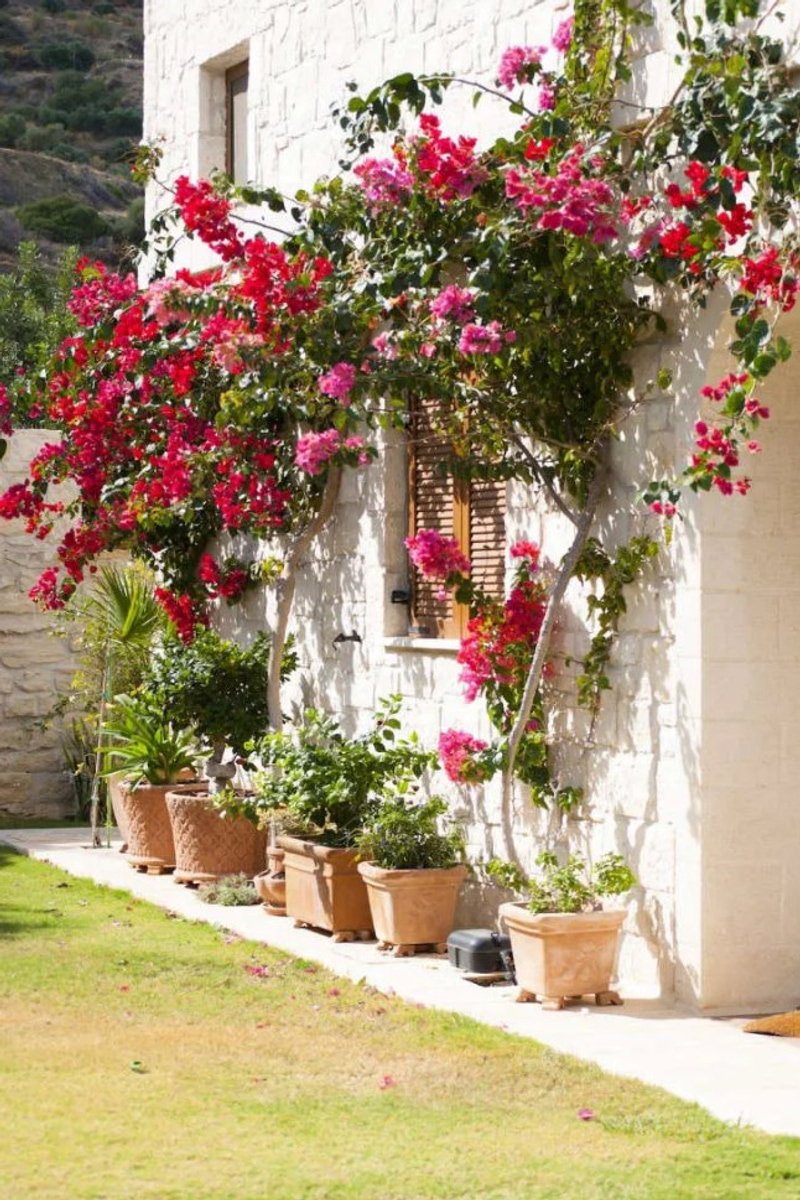 Greek garden and yard: 42 wonderful inspirational ideas to create a ...