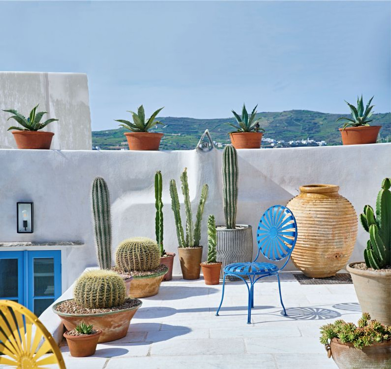 Greek garden and yard: 42 wonderful inspirational ideas to create a ...