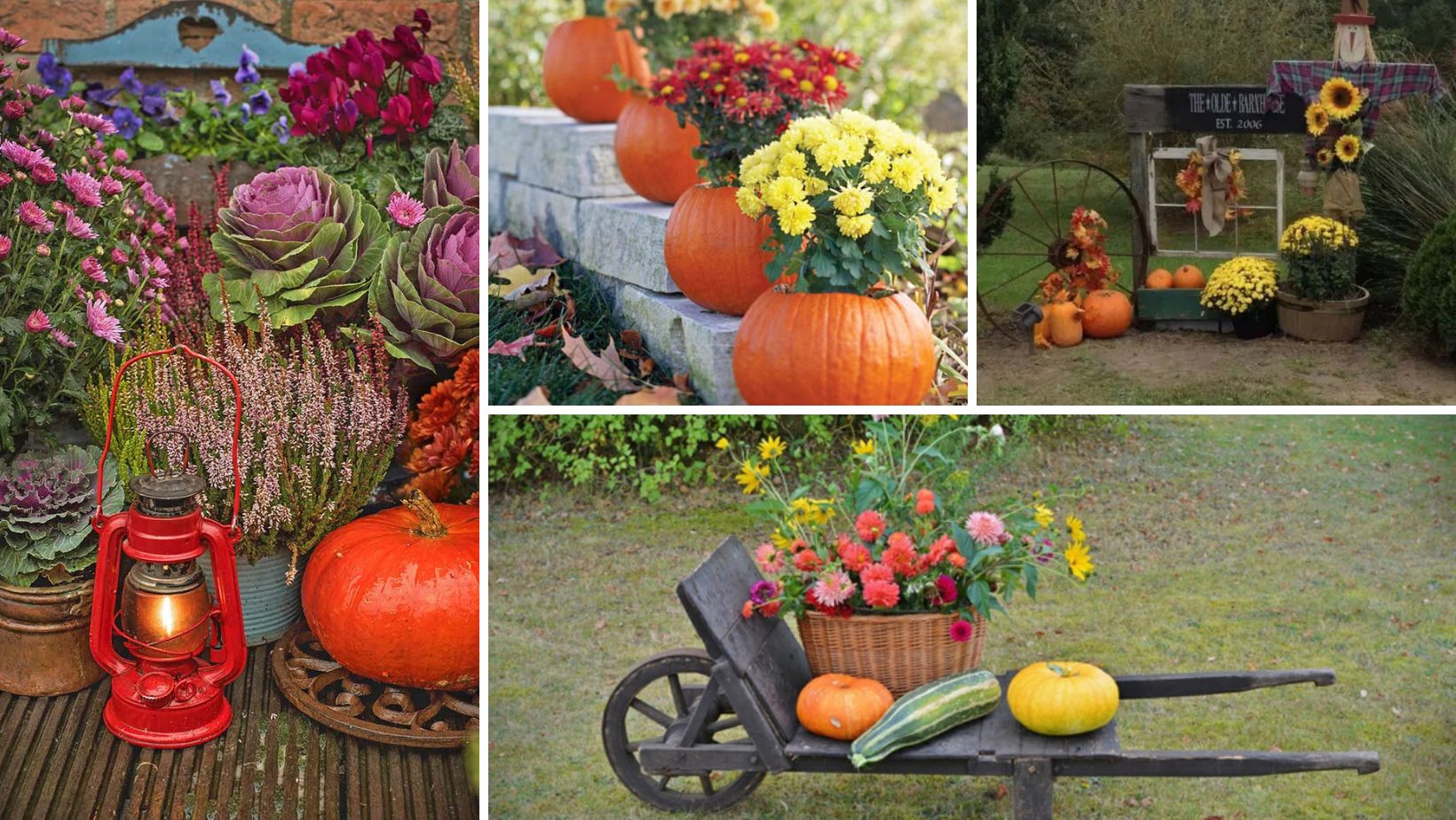 Welcome autumn to your garden or yard: 26 incredible ideas that will ...