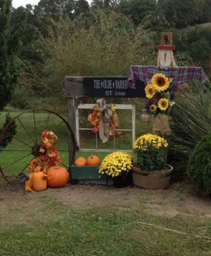 Welcome autumn to your garden or yard: 26 incredible ideas that will ...