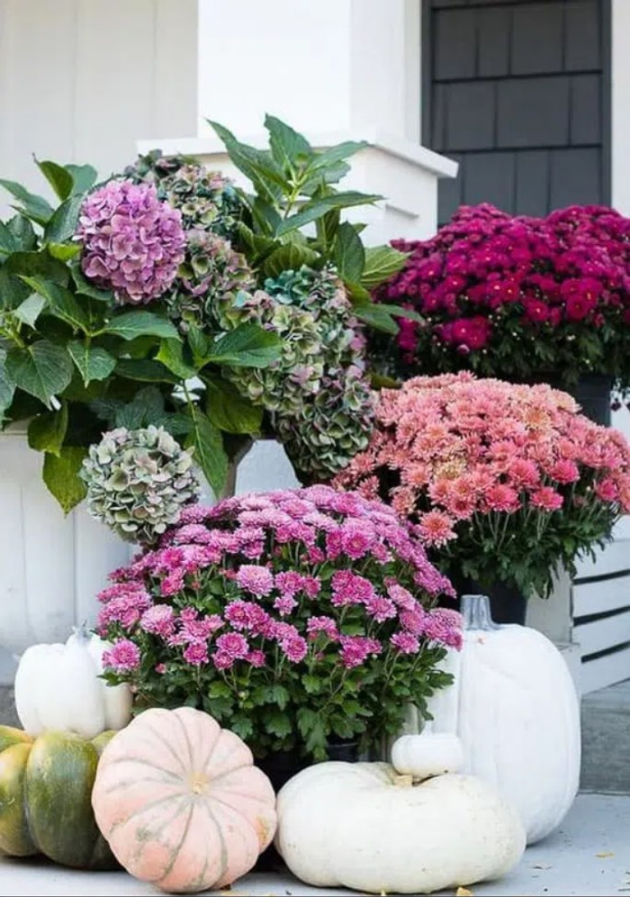 How to decorate your yard, terrace, or home for fall with beautiful ...