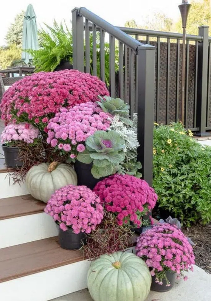 How to decorate your yard, terrace, or home for fall with beautiful ...