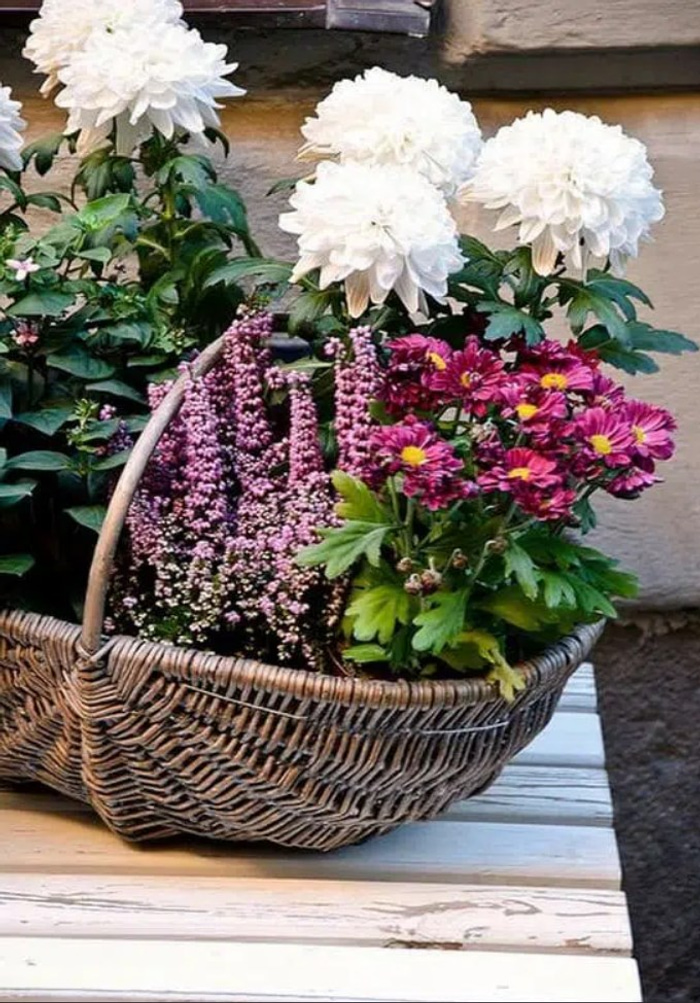How to decorate your yard, terrace, or home for fall with beautiful ...
