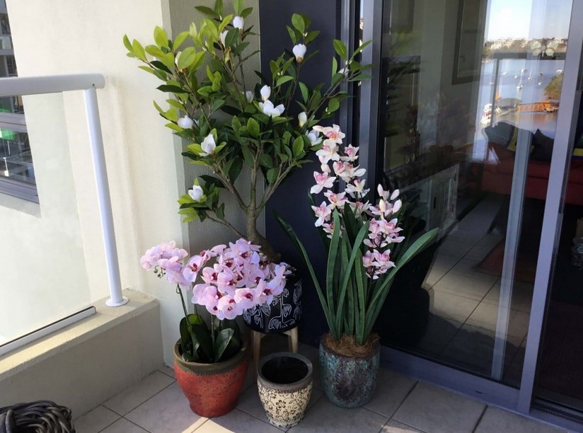 How to Use Artificial Plants to Reduce Noise | My desired home