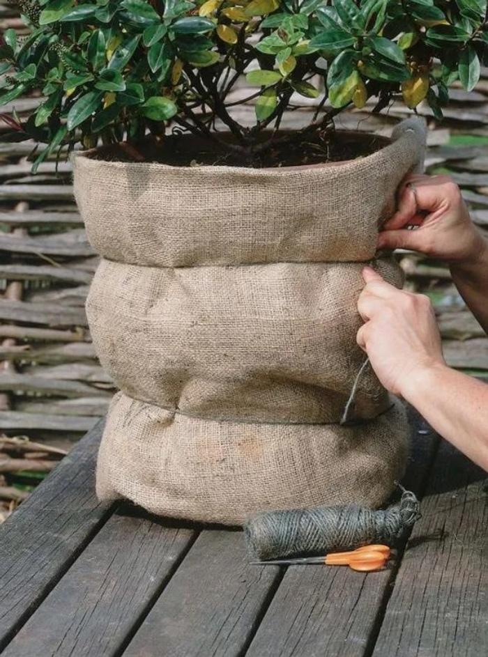 How to protect your garden from frost: 22 clever ideas | My desired home