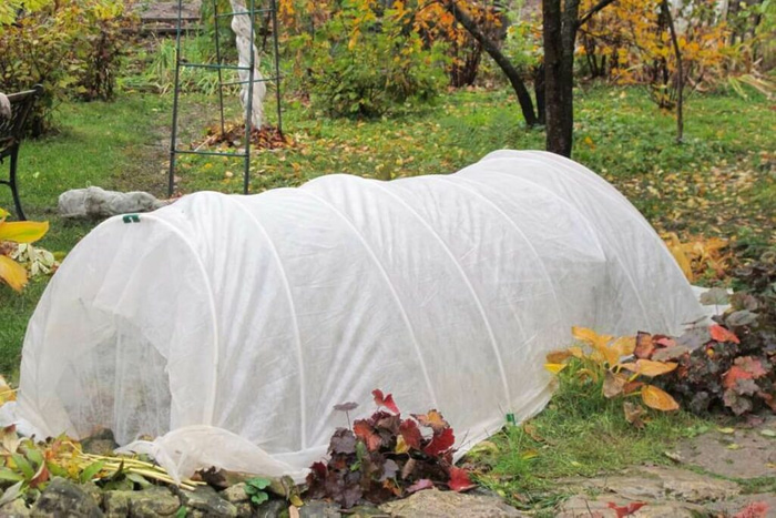 How to protect your garden from frost: 22 clever ideas | My desired home
