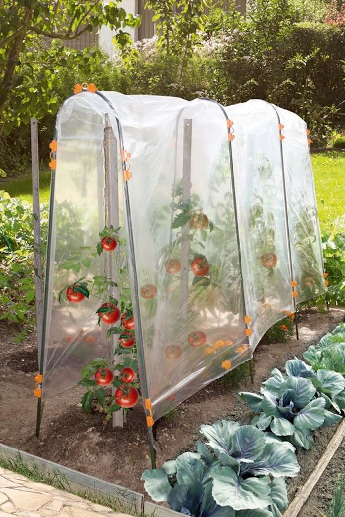 How to protect your garden from frost: 22 clever ideas | My desired home