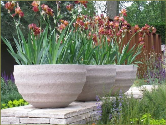 50 Amazing Ideas DIY for Homemade Outdoor Cement Planters | My desired home
