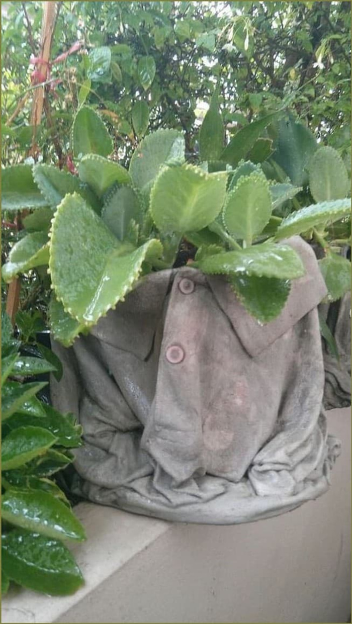 50 Amazing Ideas DIY for Homemade Outdoor Cement Planters | My desired home