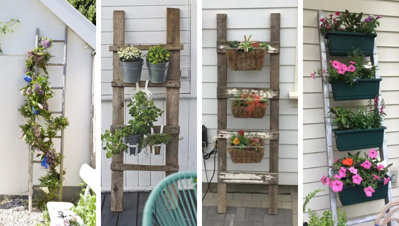 20 Amazing DIY ideas to turn an old wooden ladder into a beautiful ...
