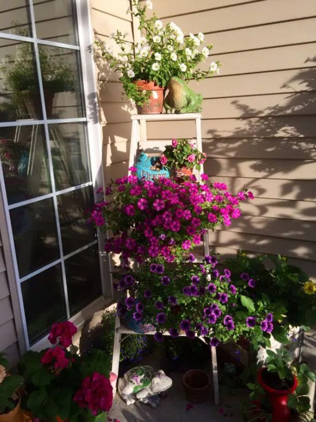 20 Amazing DIY ideas to turn an old wooden ladder into a beautiful ...