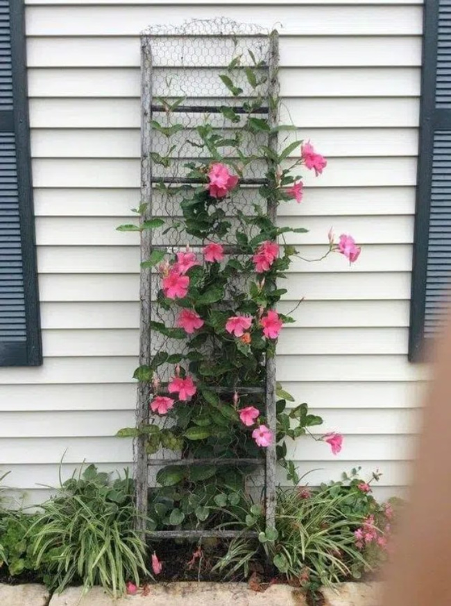 20 Amazing DIY ideas to turn an old wooden ladder into a beautiful ...