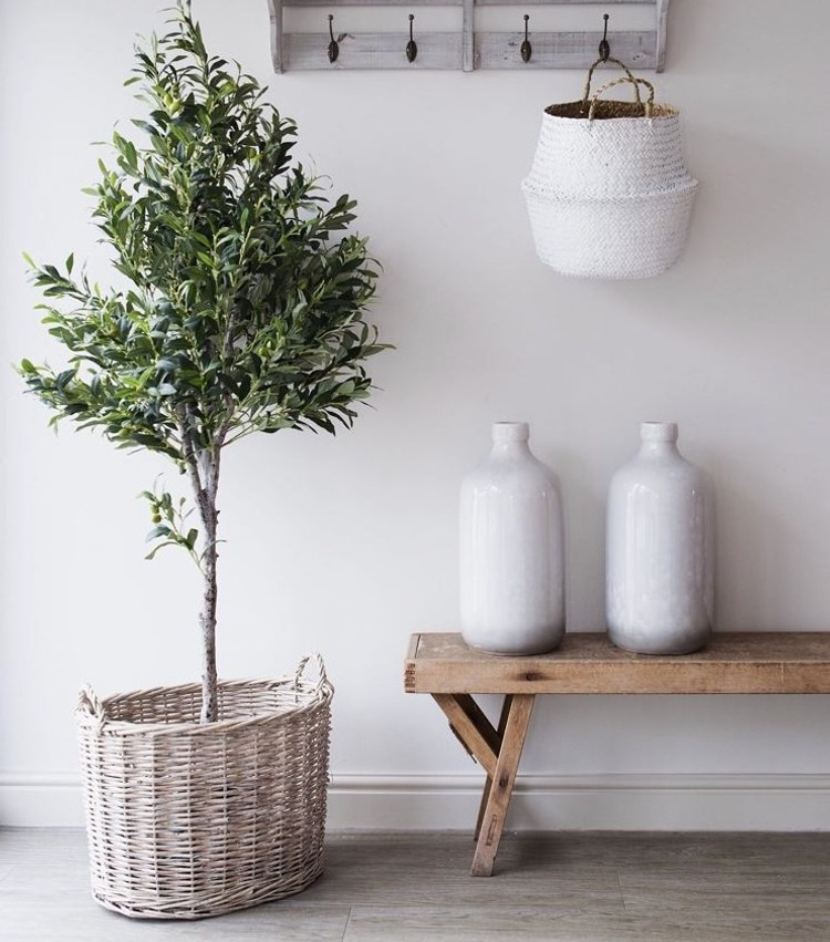 Olive trees in interior decoration – 32 great ideas for inspiration ...