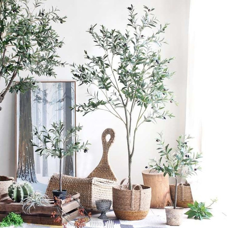 Olive trees in interior decoration – 32 great ideas for inspiration ...