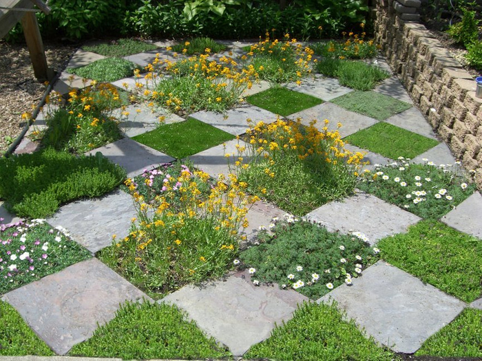25 original ideas to connect paths with plants in your yard and garden ...