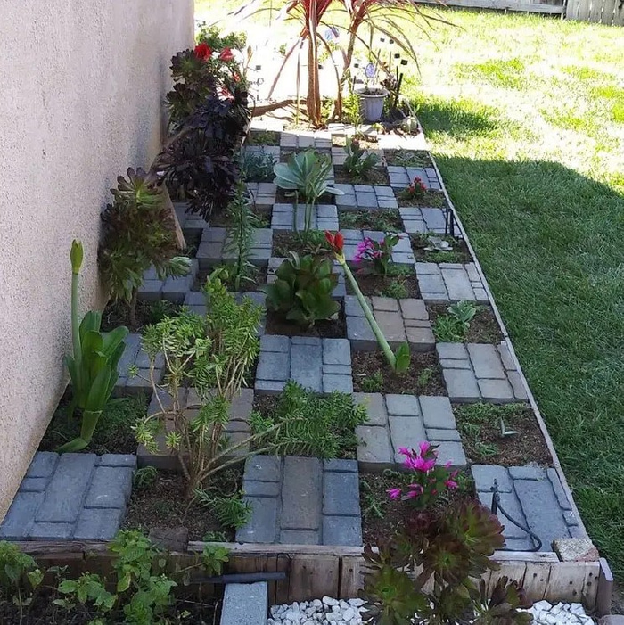 25 original ideas to connect paths with plants in your yard and garden ...