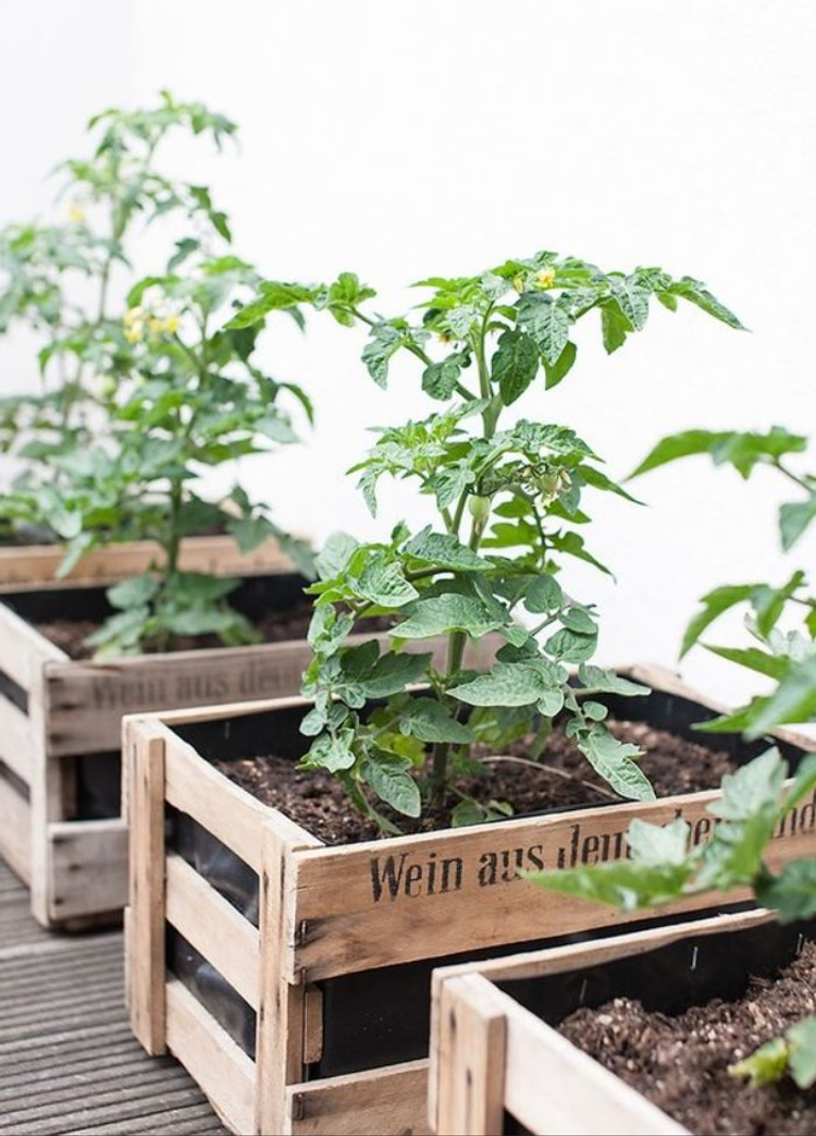 28 Ideas for original DIY planters that you can make in the comfort of ...