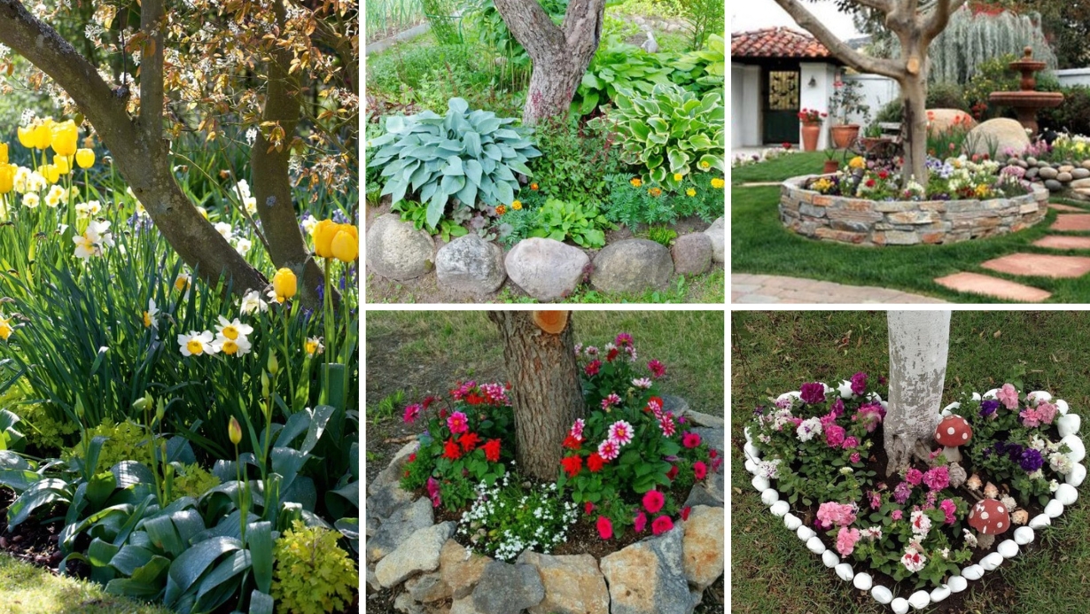 How to add charm to your garden with flower ideas under trees | My ...
