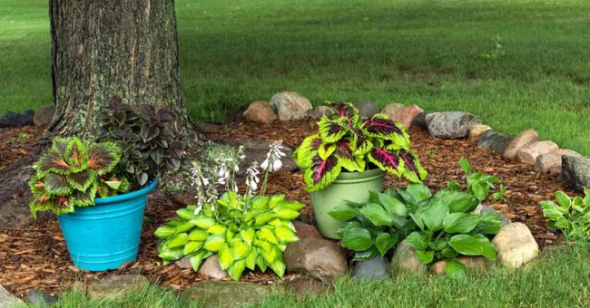 How to add charm to your garden with flower ideas under trees | My ...