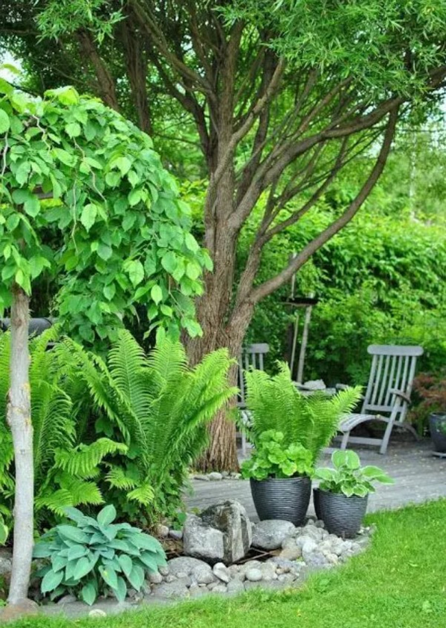 How to add charm to your garden with flower ideas under trees | My ...