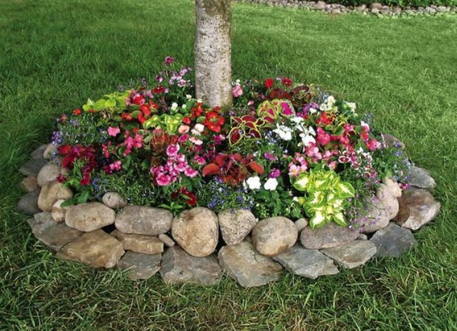 How to add charm to your garden with flower ideas under trees | My ...