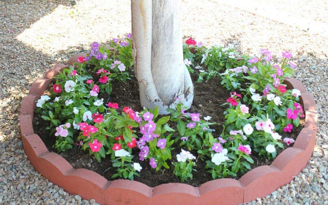 How to add charm to your garden with flower ideas under trees | My ...