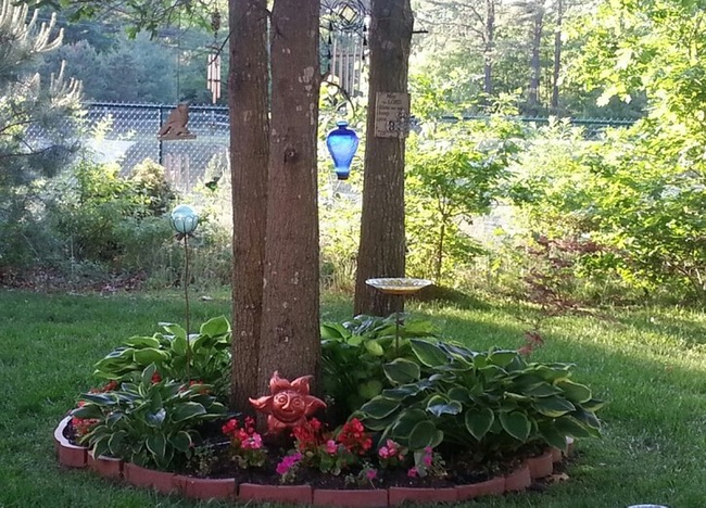 How to add charm to your garden with flower ideas under trees | My ...