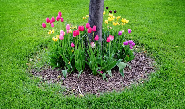 How to add charm to your garden with flower ideas under trees | My ...