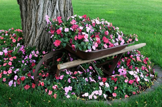 How to add charm to your garden with flower ideas under trees | My ...